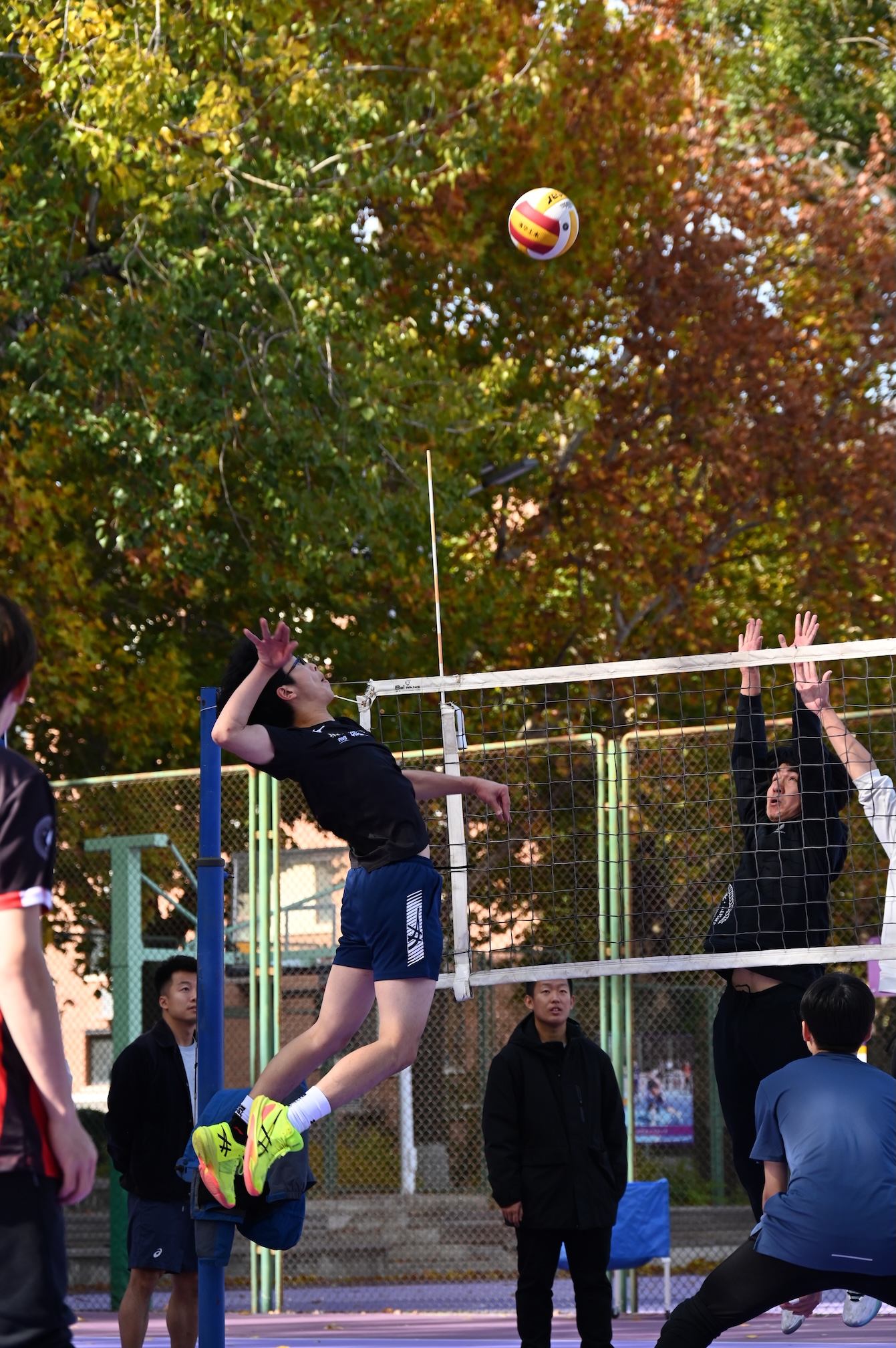 Hobbies – Zunxuan Xiao